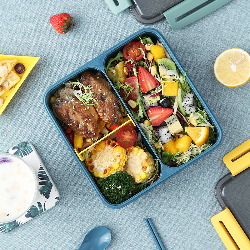 Exploring the Practicality and Innovation of Plastic Lunch Boxes ...